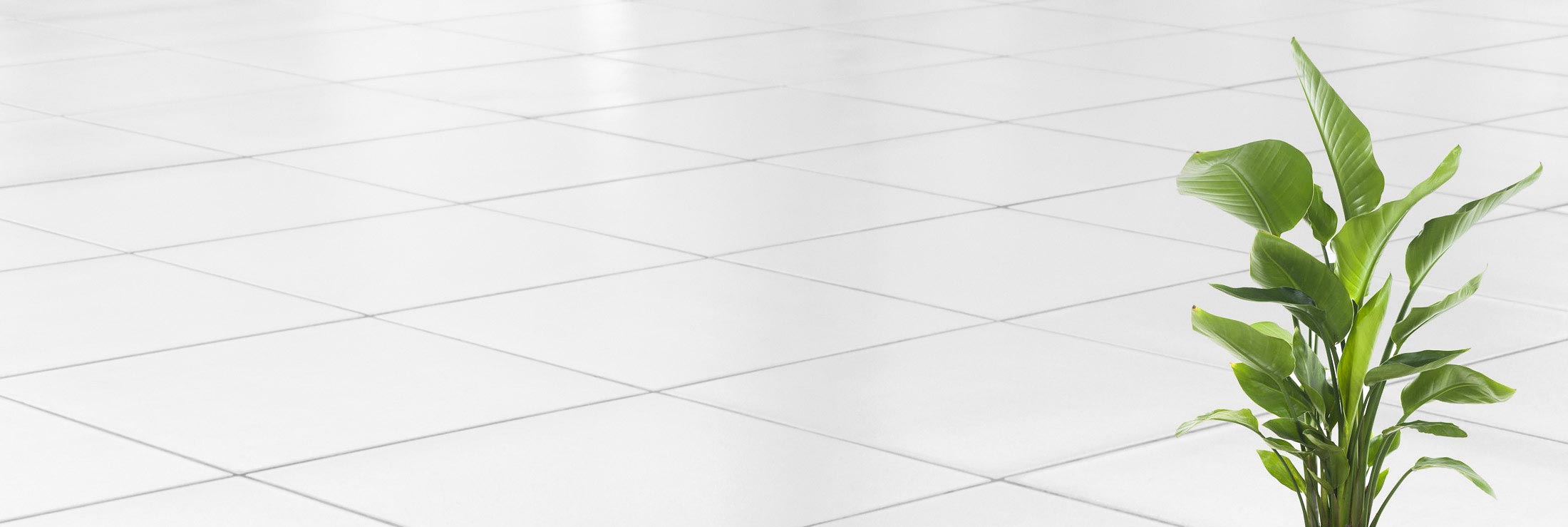 Exiso Städ-Facility